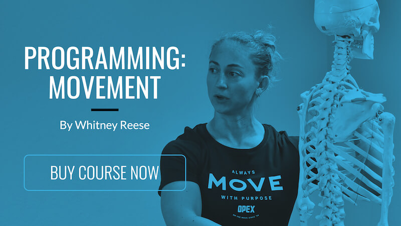 LearnRx - OPEX Fitness